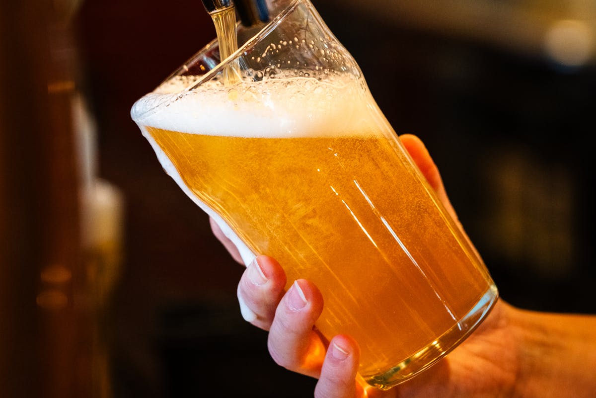 Was macht Bier bitter · Hopfen oder Malz?